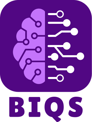 IT Support & E-commerce Solutions | BIQS